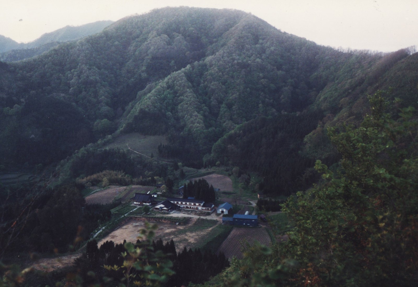 宇宙に一つしかない“この自分”を学ぶこと - Interview - Learning Design Lab.